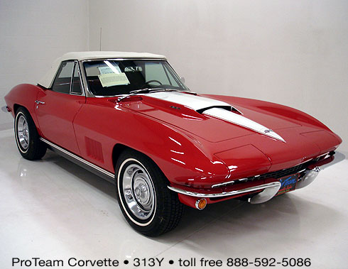 ProTeam Classic Corvettes 1967 • 313Y